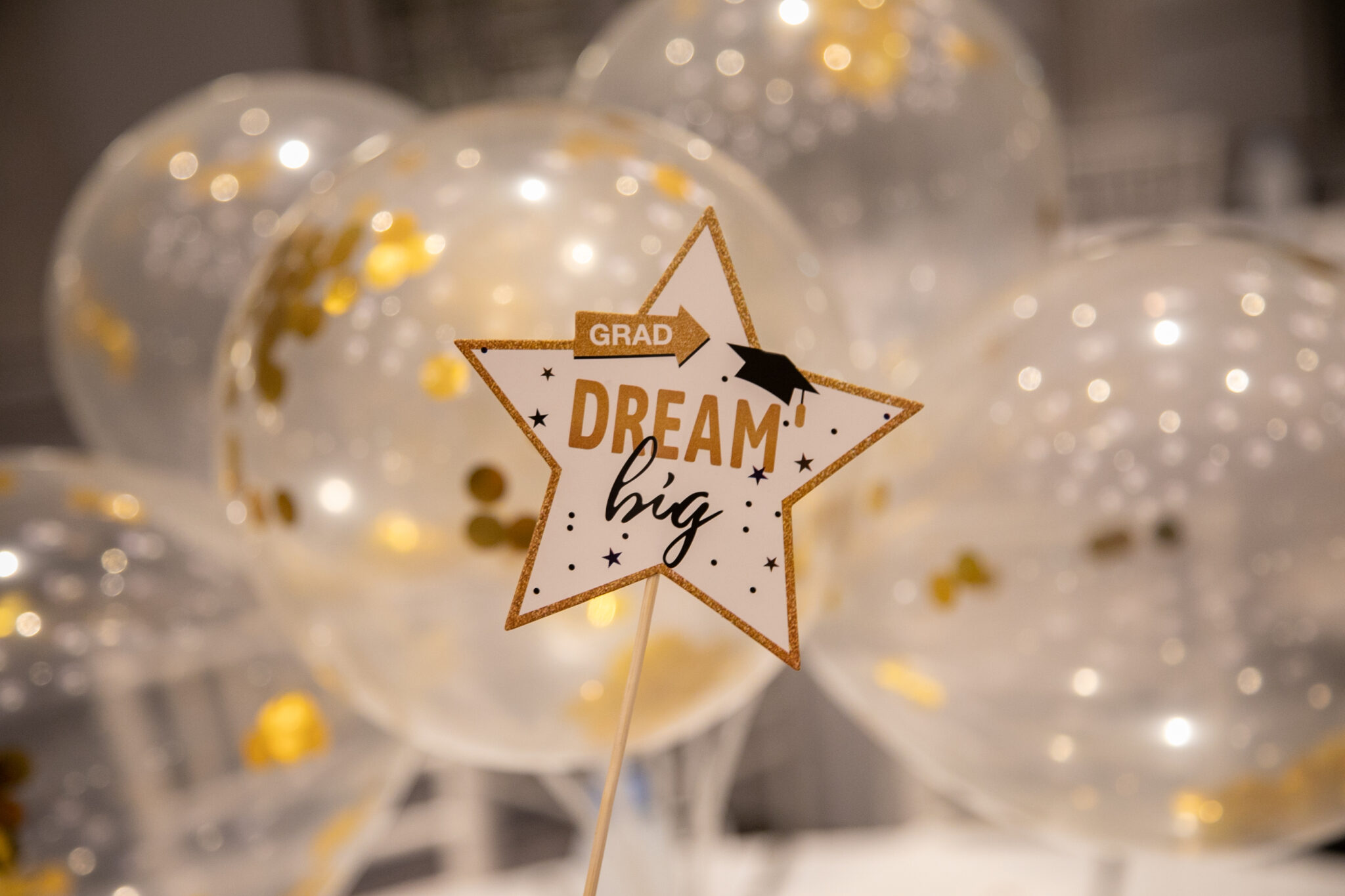 TLC Private School - Paphos Cyprus - TLC Private School